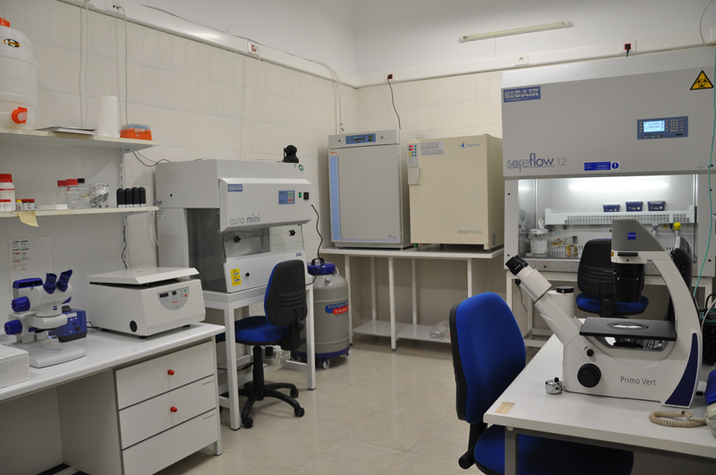 Lab Space | Microscopy