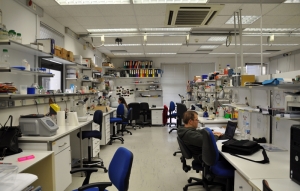 Lab Space | Microscopy