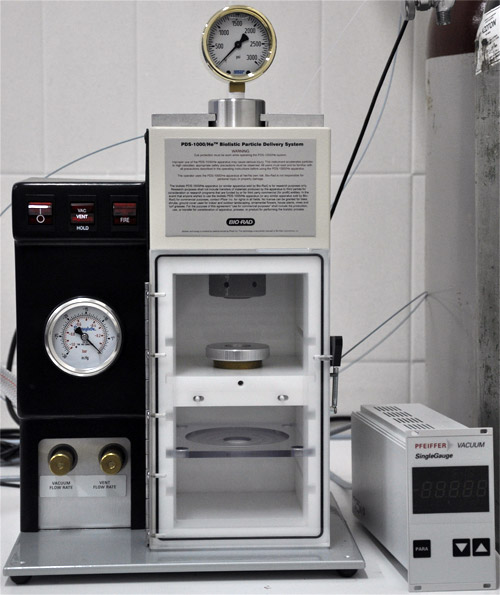 Lab Instrumentation | Microscopy
