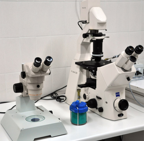 Lab Instrumentation | Microscopy